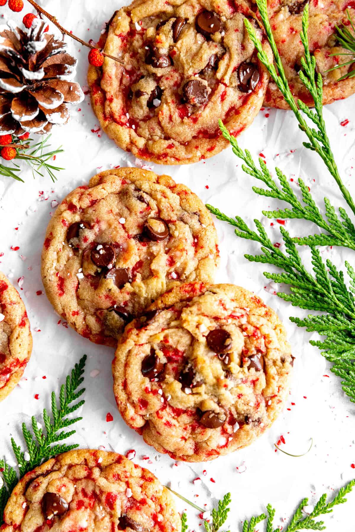 Candy Cane Chocolate Chip Cookies Peppermint Chocolate Chip Cookies